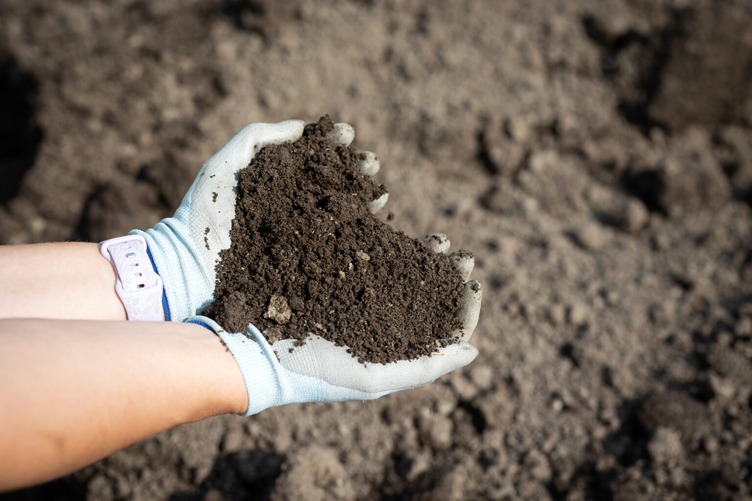 Multahinnasto kuorma-autokuormille - Mustankorkea